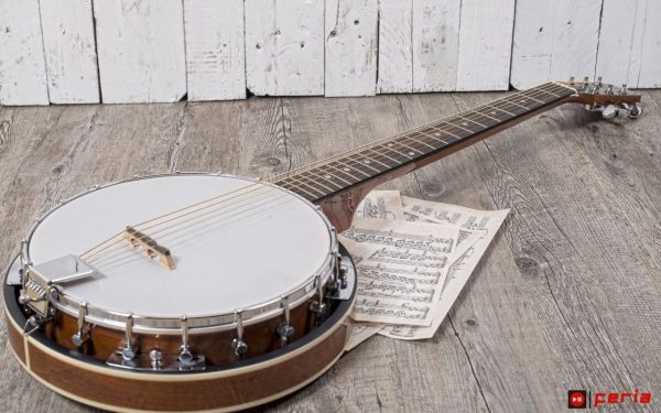 Apprendre le banjo en 2026 : guide A-Z | Feria Musica