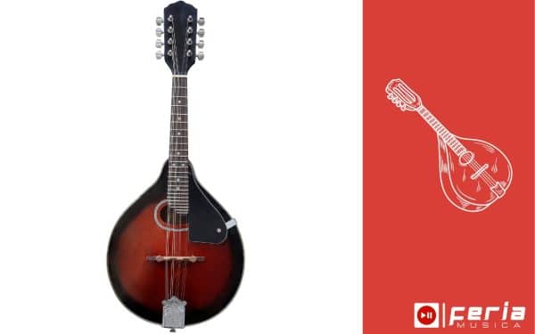 Las 10 mejores mandolinas [Guía para 2025] | Feria Musica