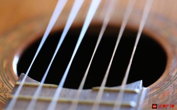 Guía completa sobre cómo se llaman las cuerdas de la guitarra | Feria ...